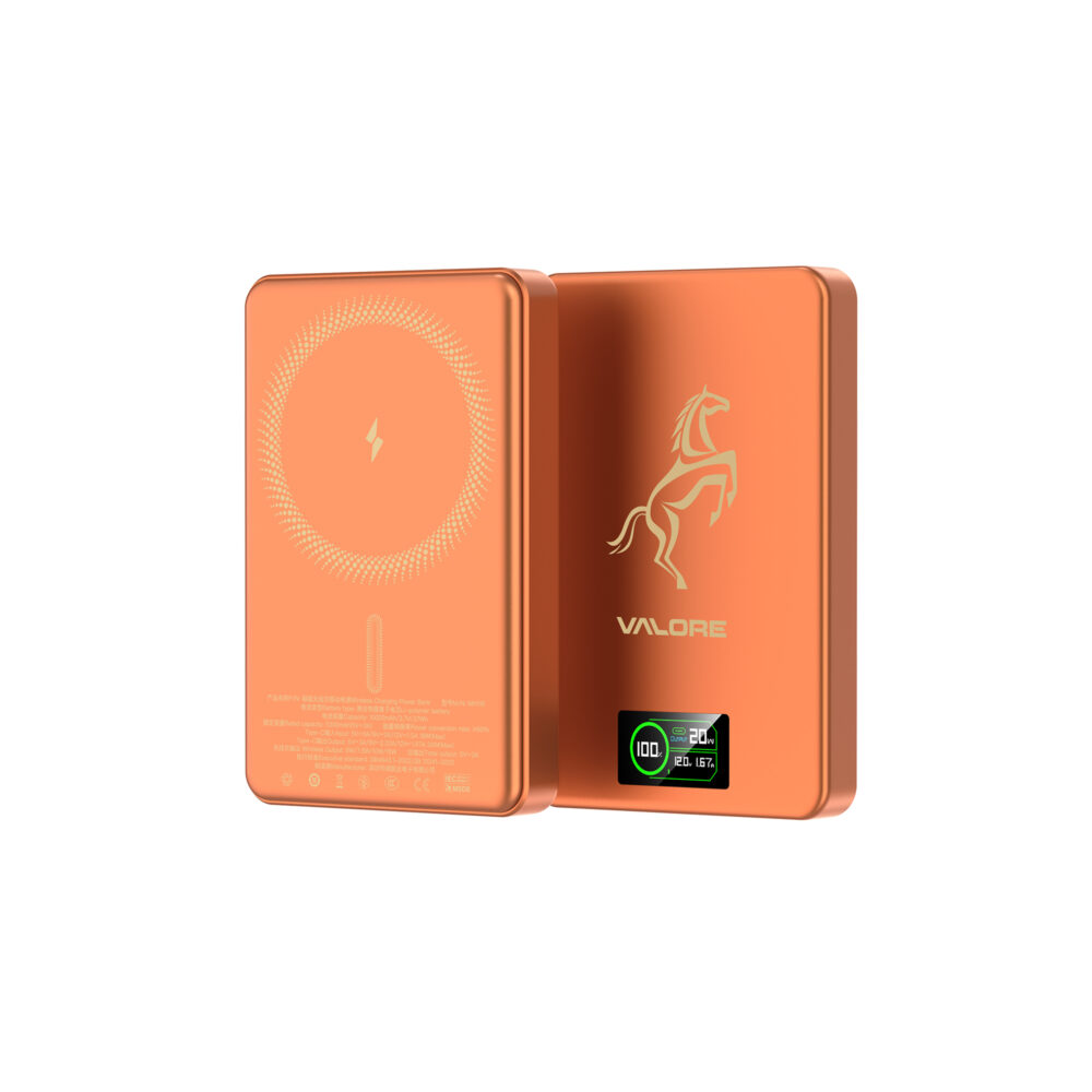 Power Banks - Valore Global